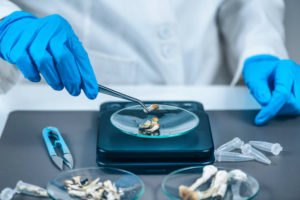 Do Shrooms Show Up on a Drug Test? What You Need to Know - Speedy ...